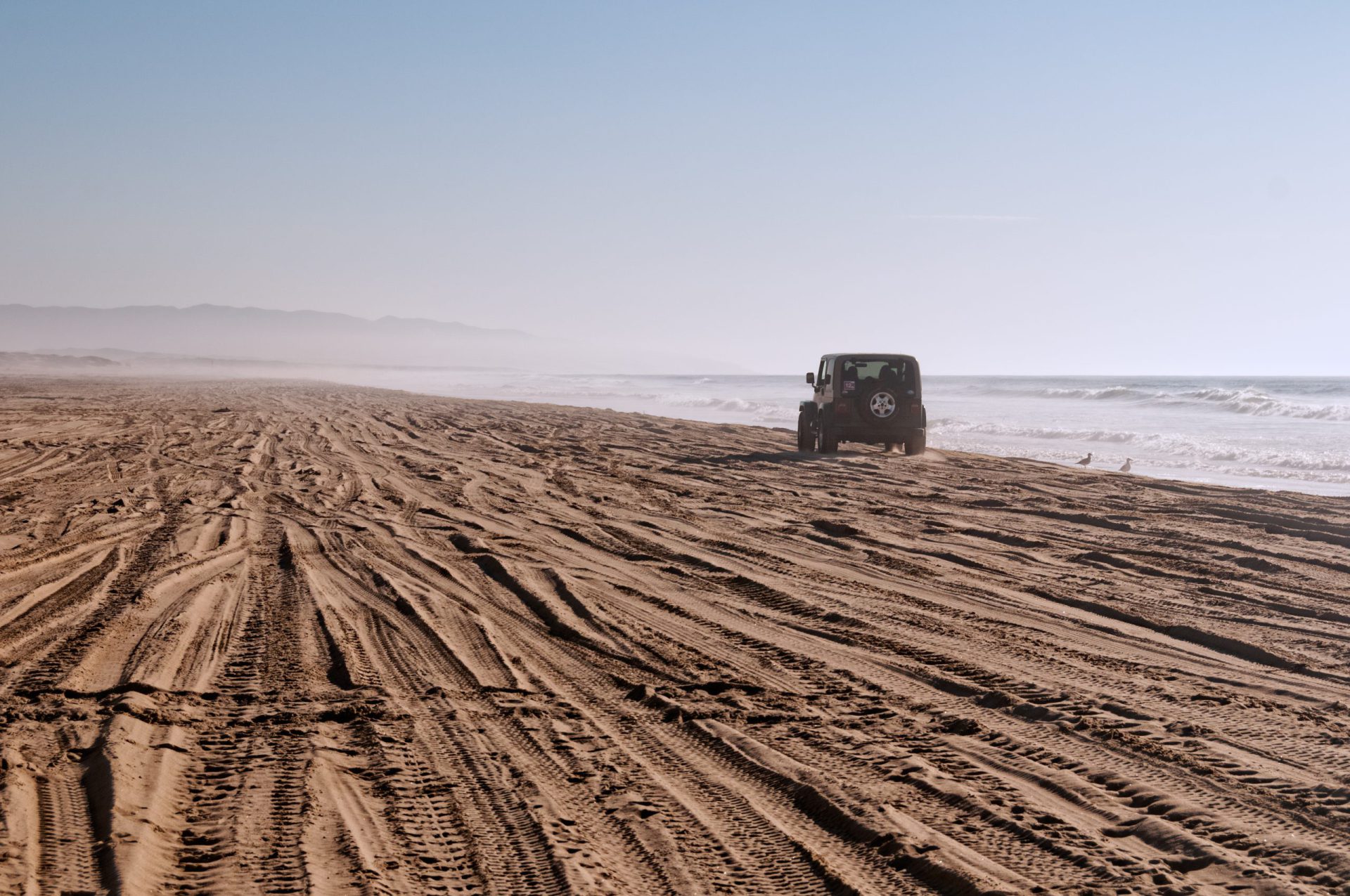 Driving on the Sand: Exploring Grover Beach's Most Iconic Coastal ...