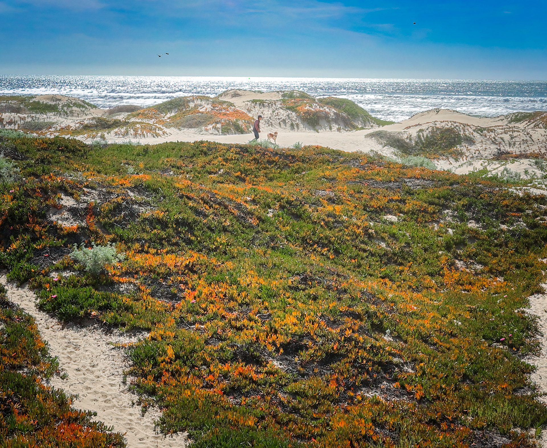 New Year, West End Style | Grover Beach Winter Events & Coastal Living